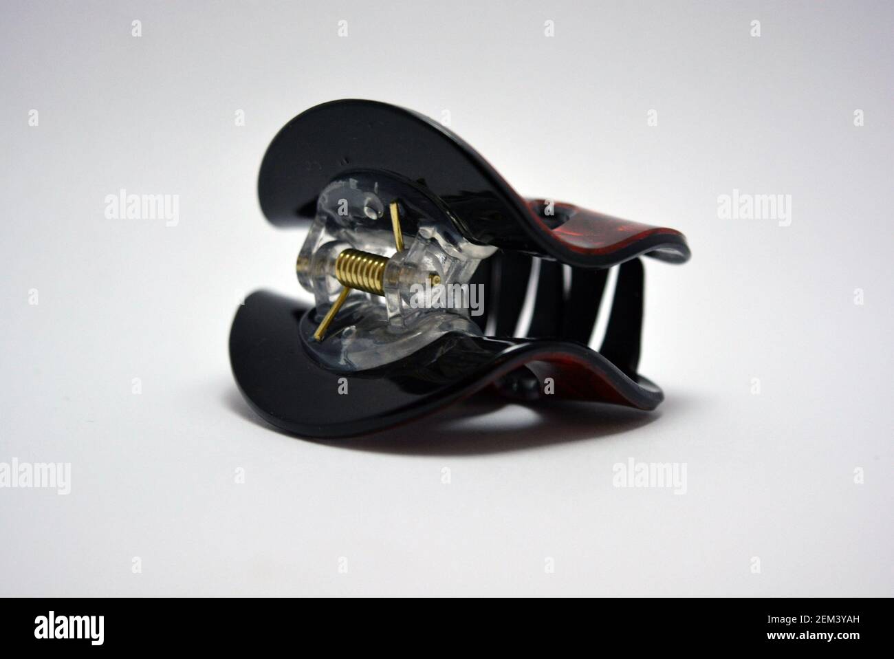 Beautiful restrained hair crab in black with red marble pattern located ...