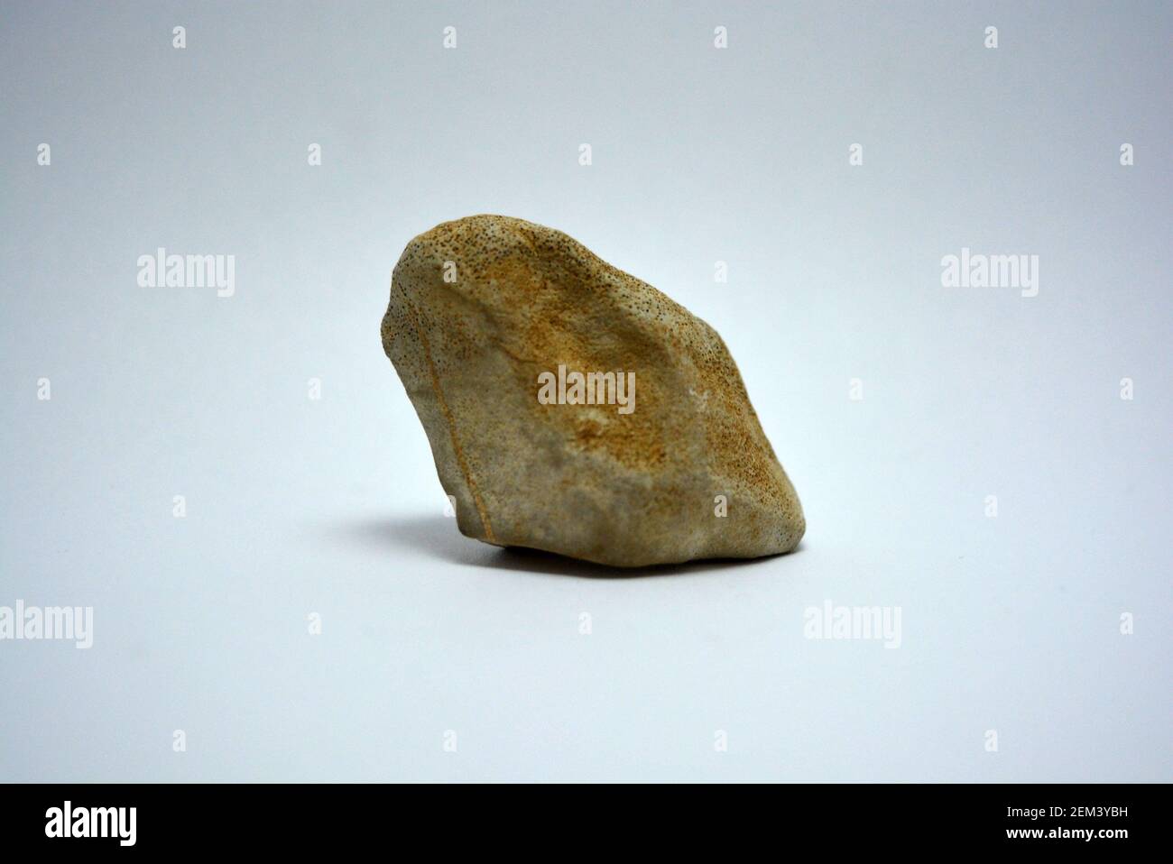 A stone, a hewn stone, a splinter from a white cement brick that was ...