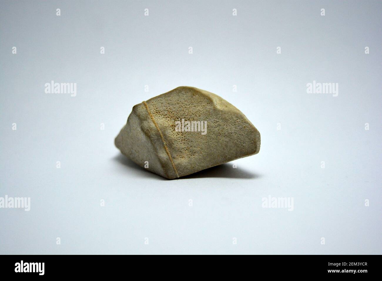 A stone, a hewn stone, a splinter from a white cement brick that was ...