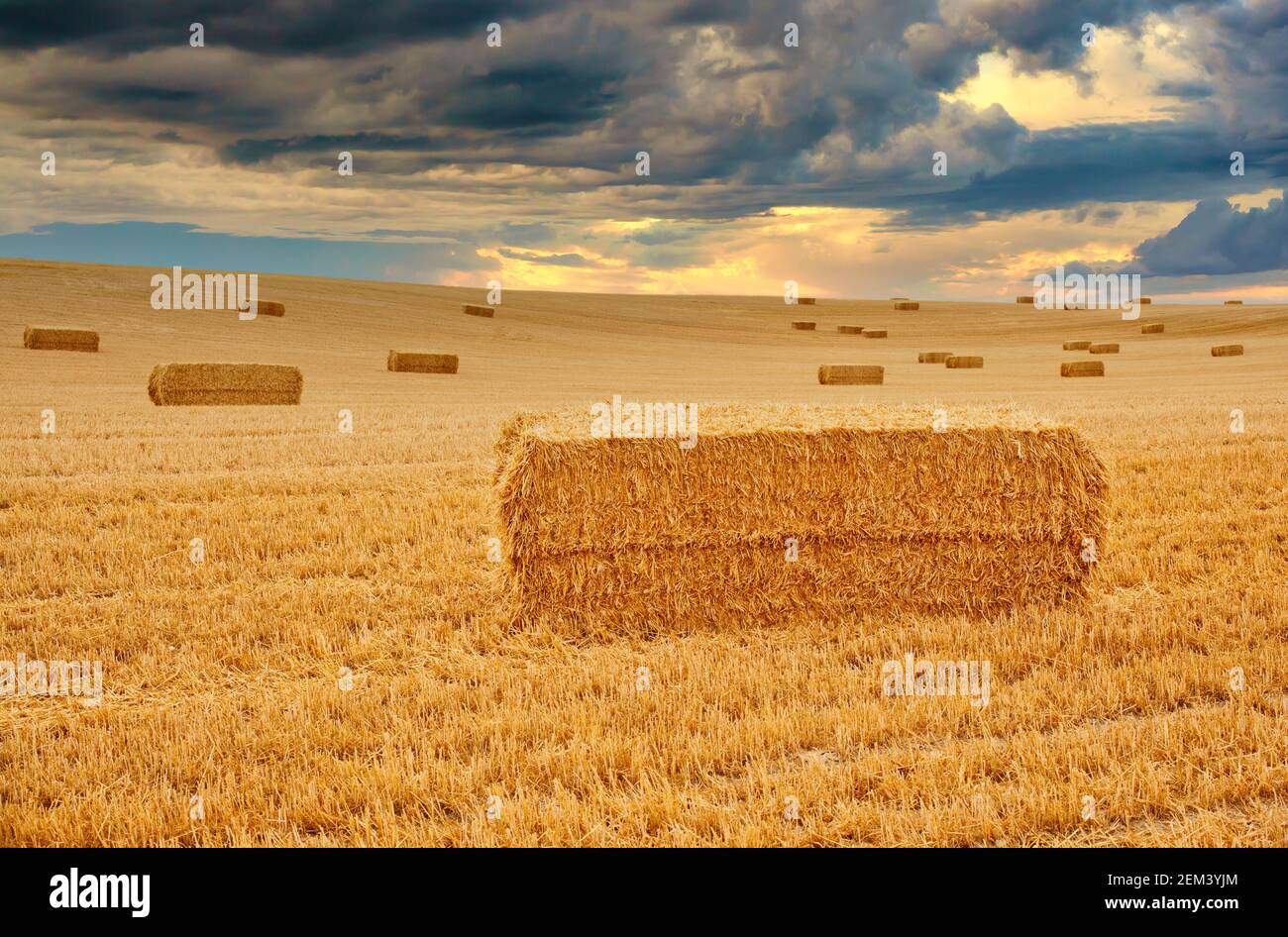 Corn bales hi-res stock photography and images - Alamy