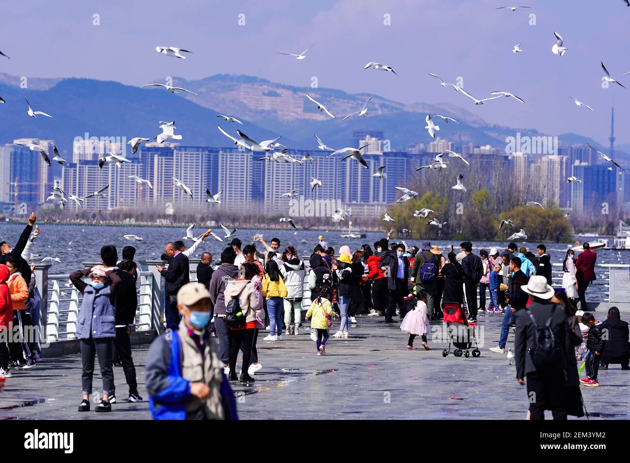 Many tourists and citizens watch and feed gulls at the Haigeng Dam in ...