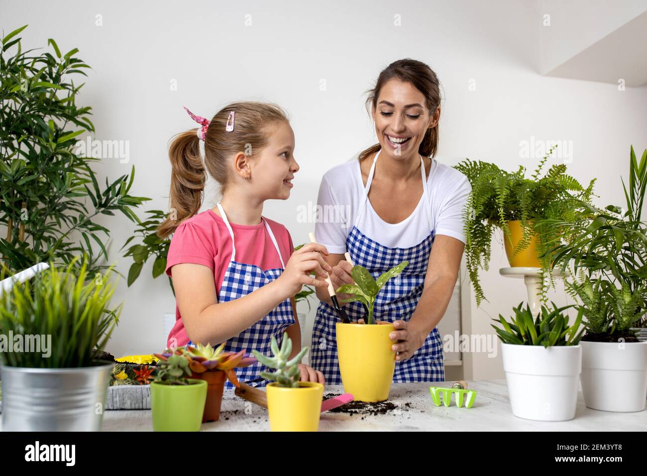 Two girls replanting a plant in a new flowerpot and adjusting the soil ...