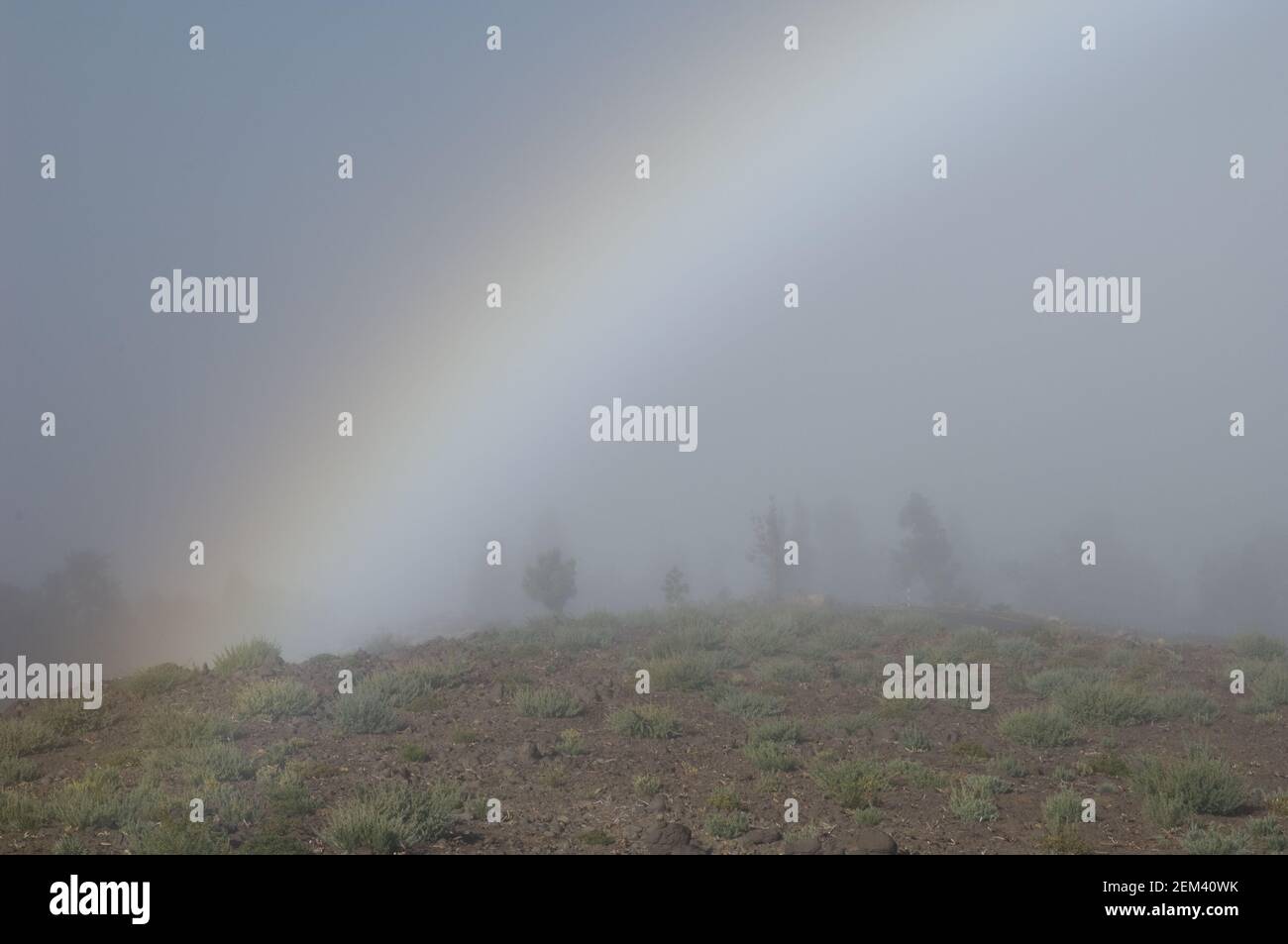 Rainbow in the fog in Garafia. La Palma. Canary Islands. Spain Stock ...
