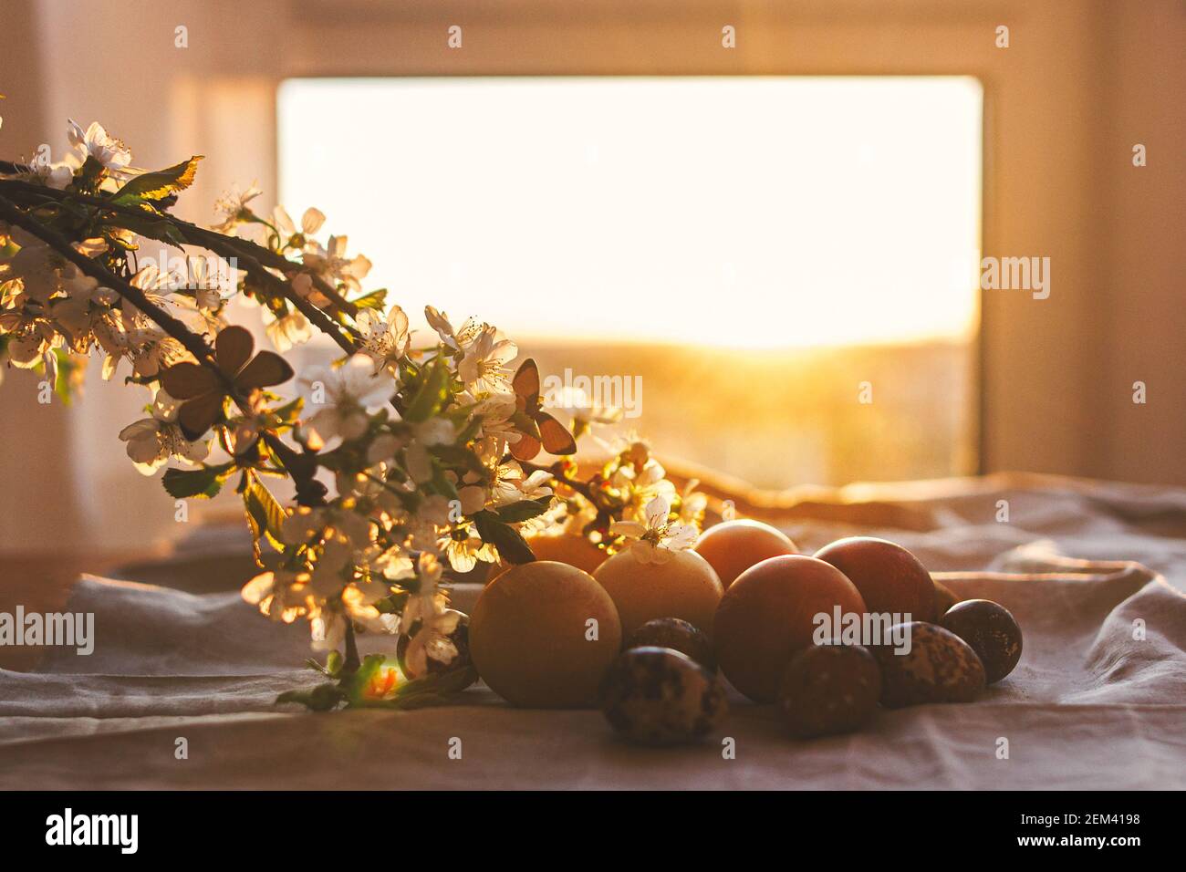 Modern pastel easter eggs and blooming cherry branch with butterfly on ...