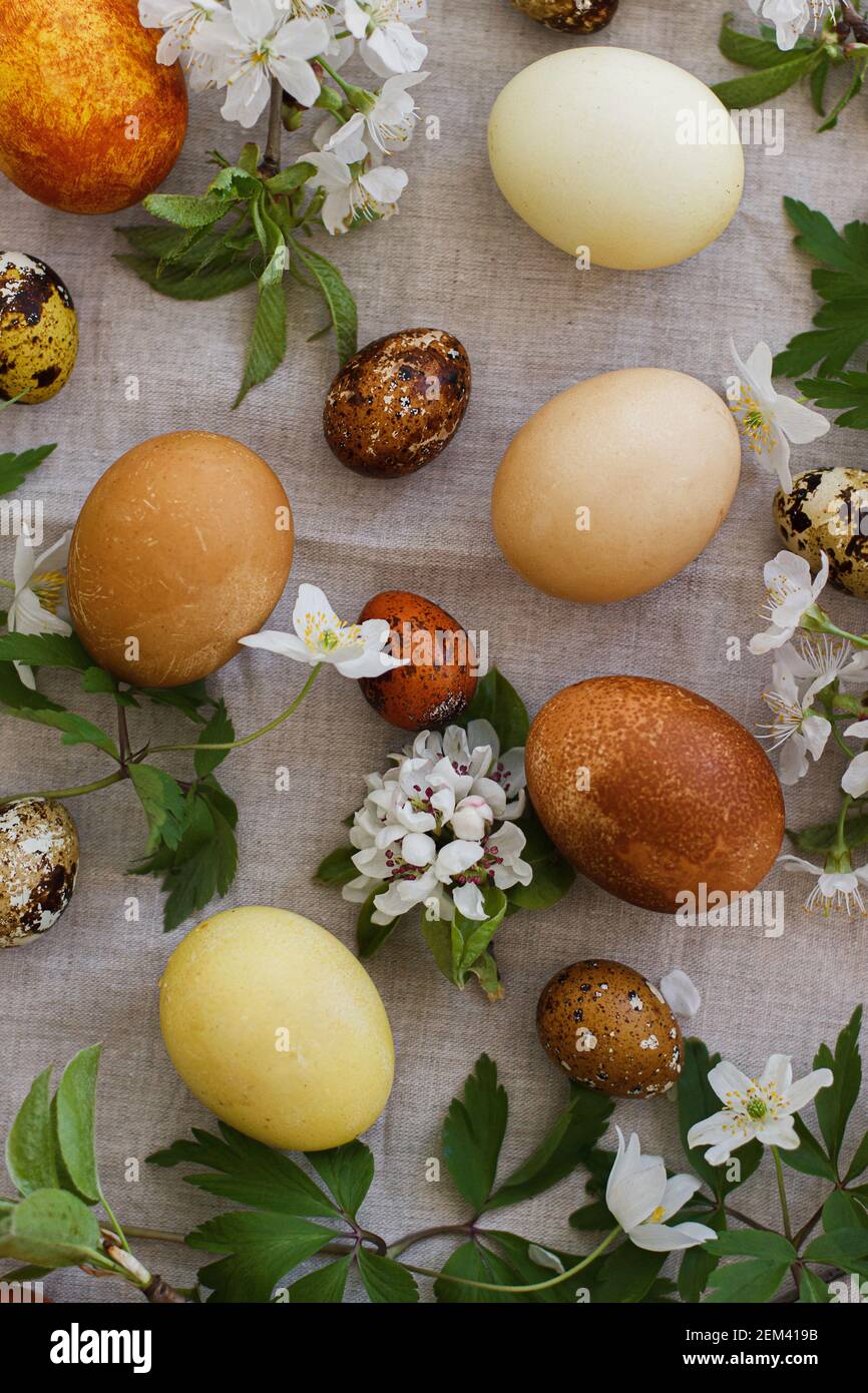 Modern easter eggs with spring flowers flat lay on rustic linen cloth ...