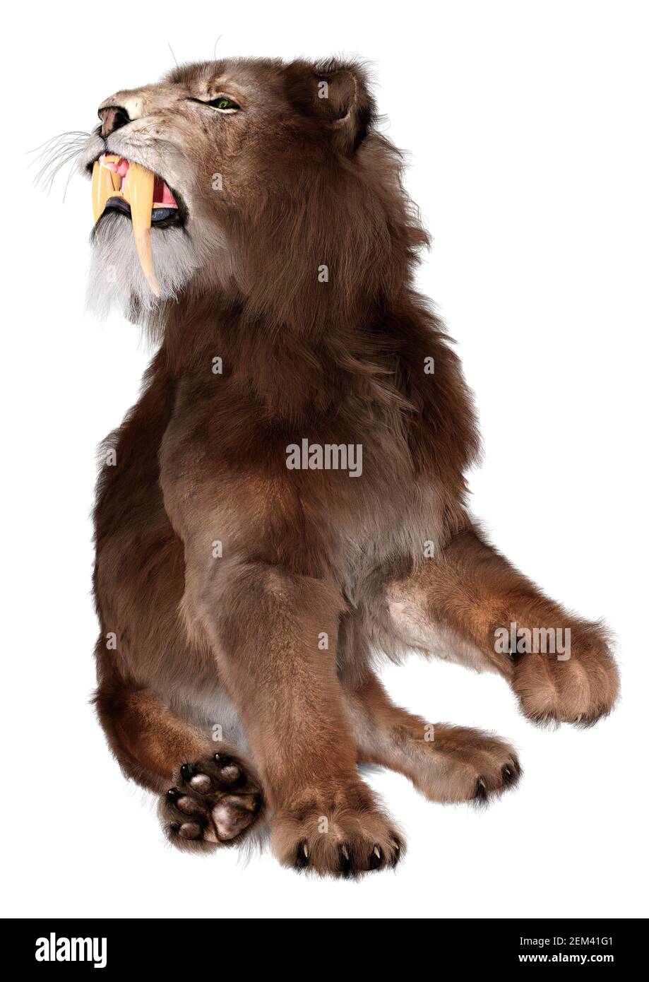 3D rendering of a sabertooth tiger isolated on white background Stock ...
