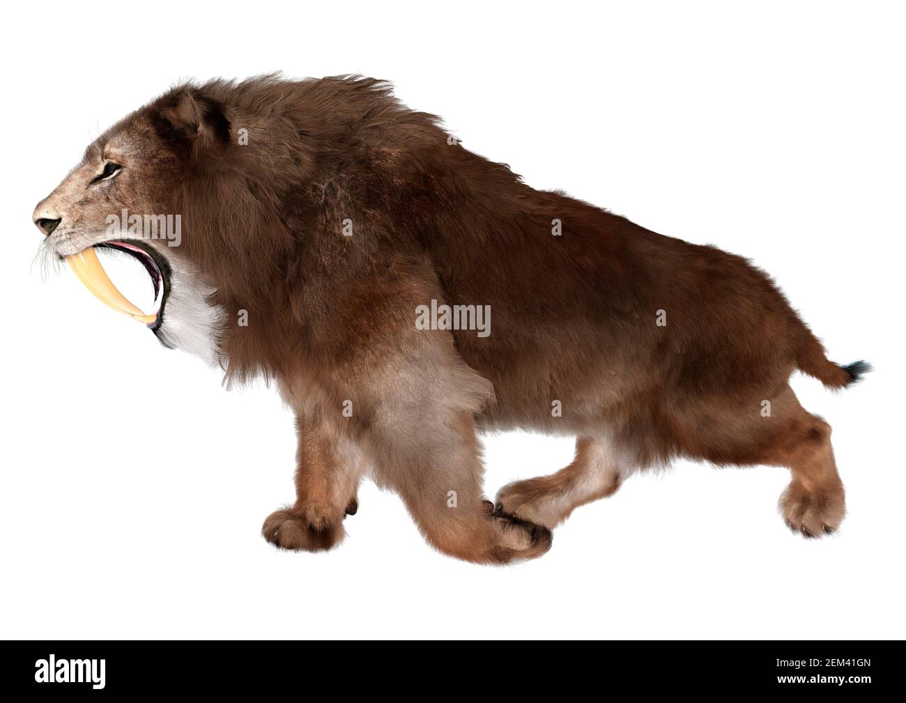3D rendering of a sabertooth tiger isolated on white background Stock ...