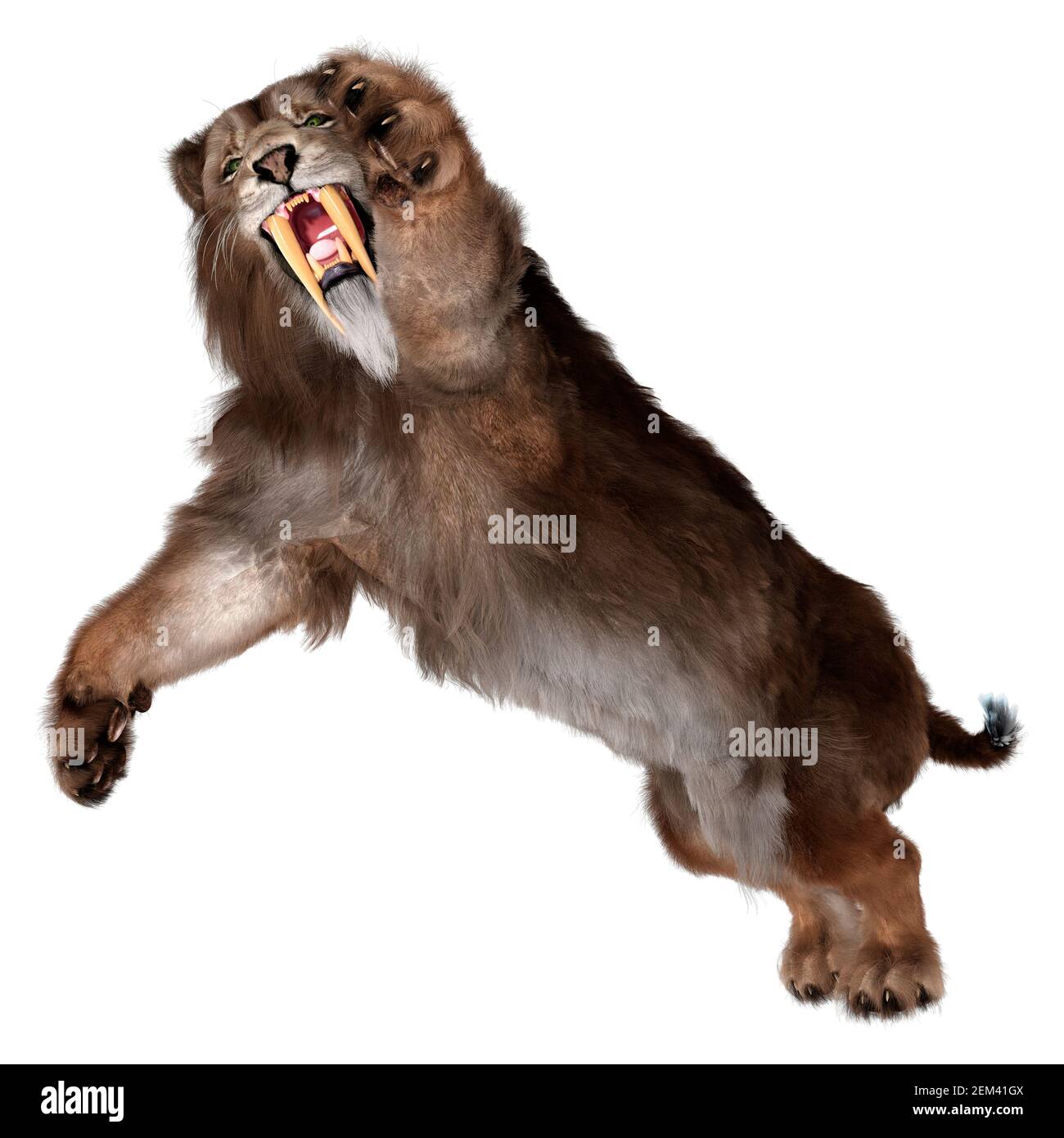 3D rendering of a sabertooth tiger isolated on white background Stock ...