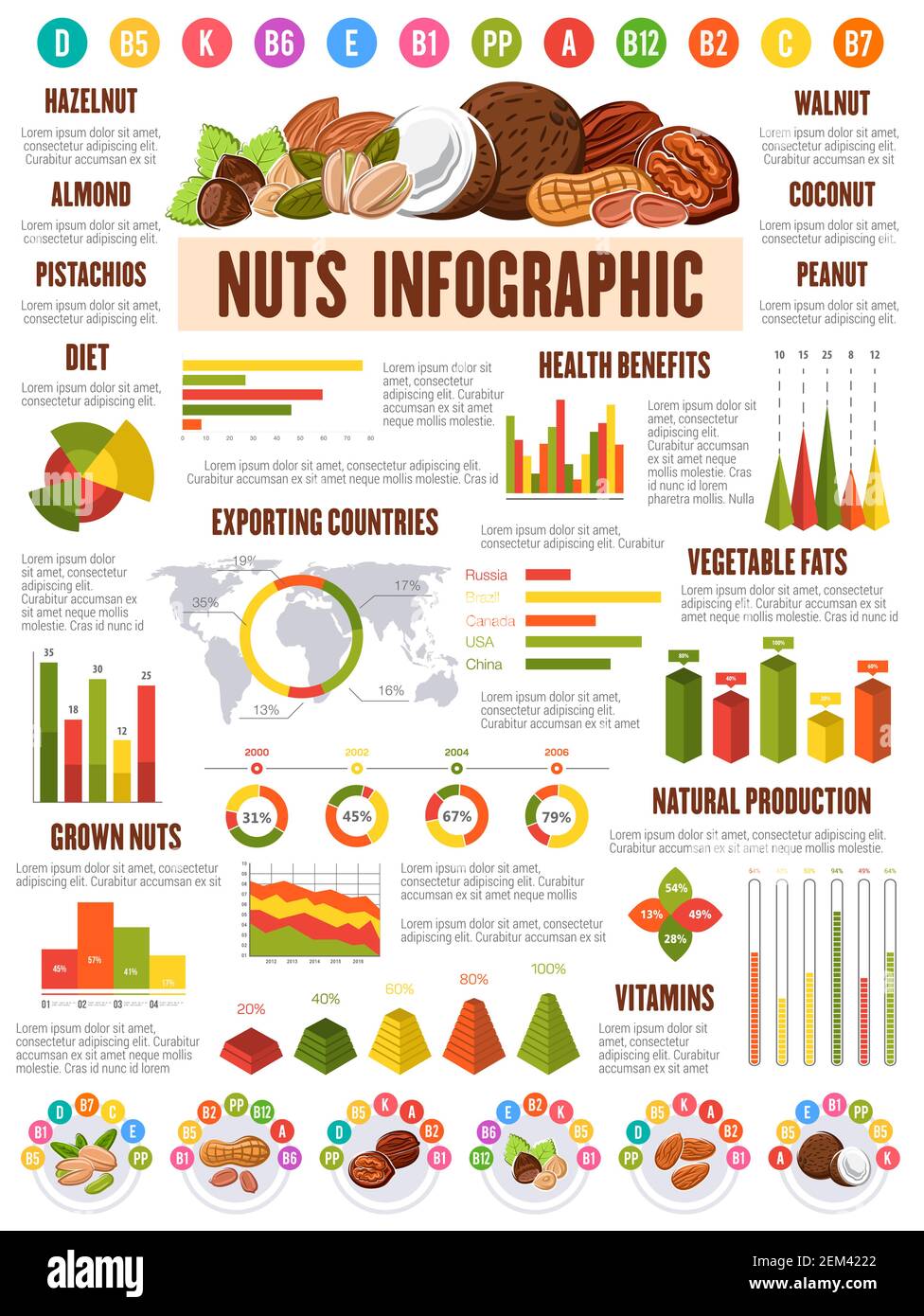 Nuts and beans vector infographic with vitamins chart and health ...