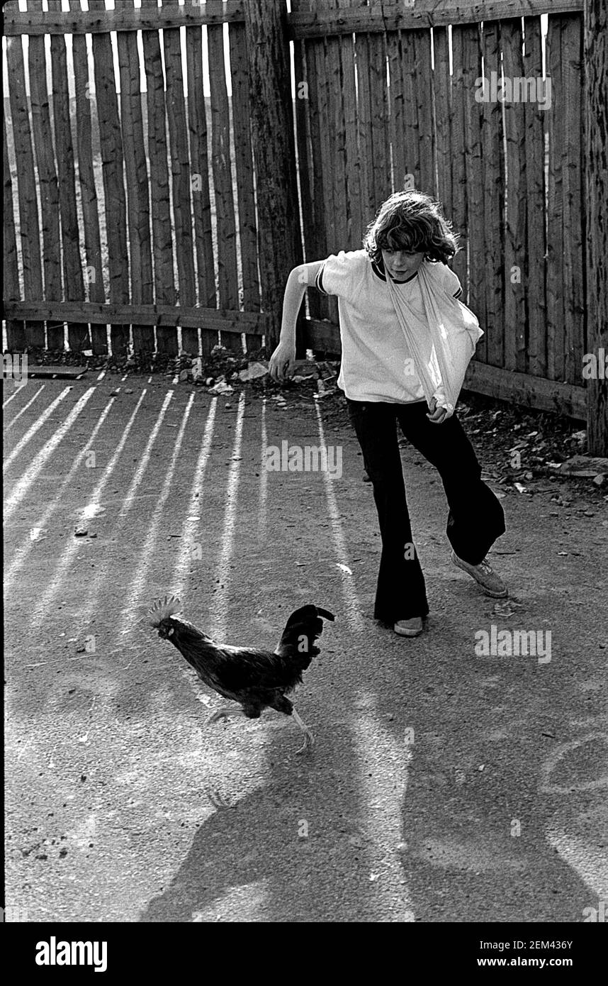 Childrens Adventure Playground boy chasing chicken Stock Photo - Alamy