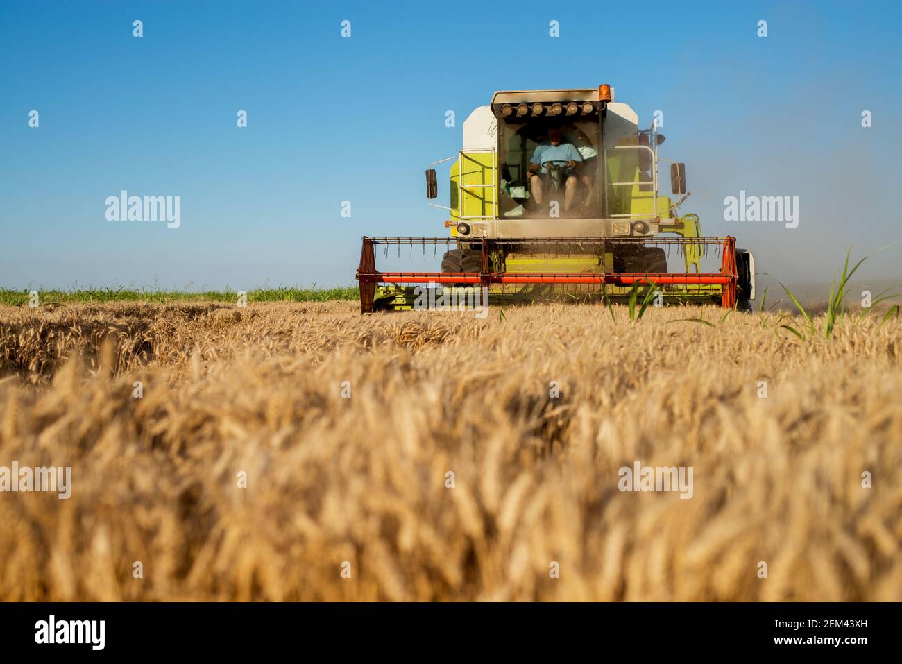 Harvesting machine working at field in sunny morning. Agriculture ...
