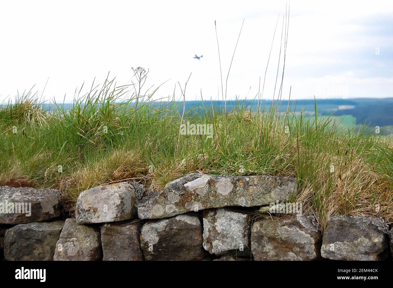 Roman soldiers britain stone hi-res stock photography and images - Alamy