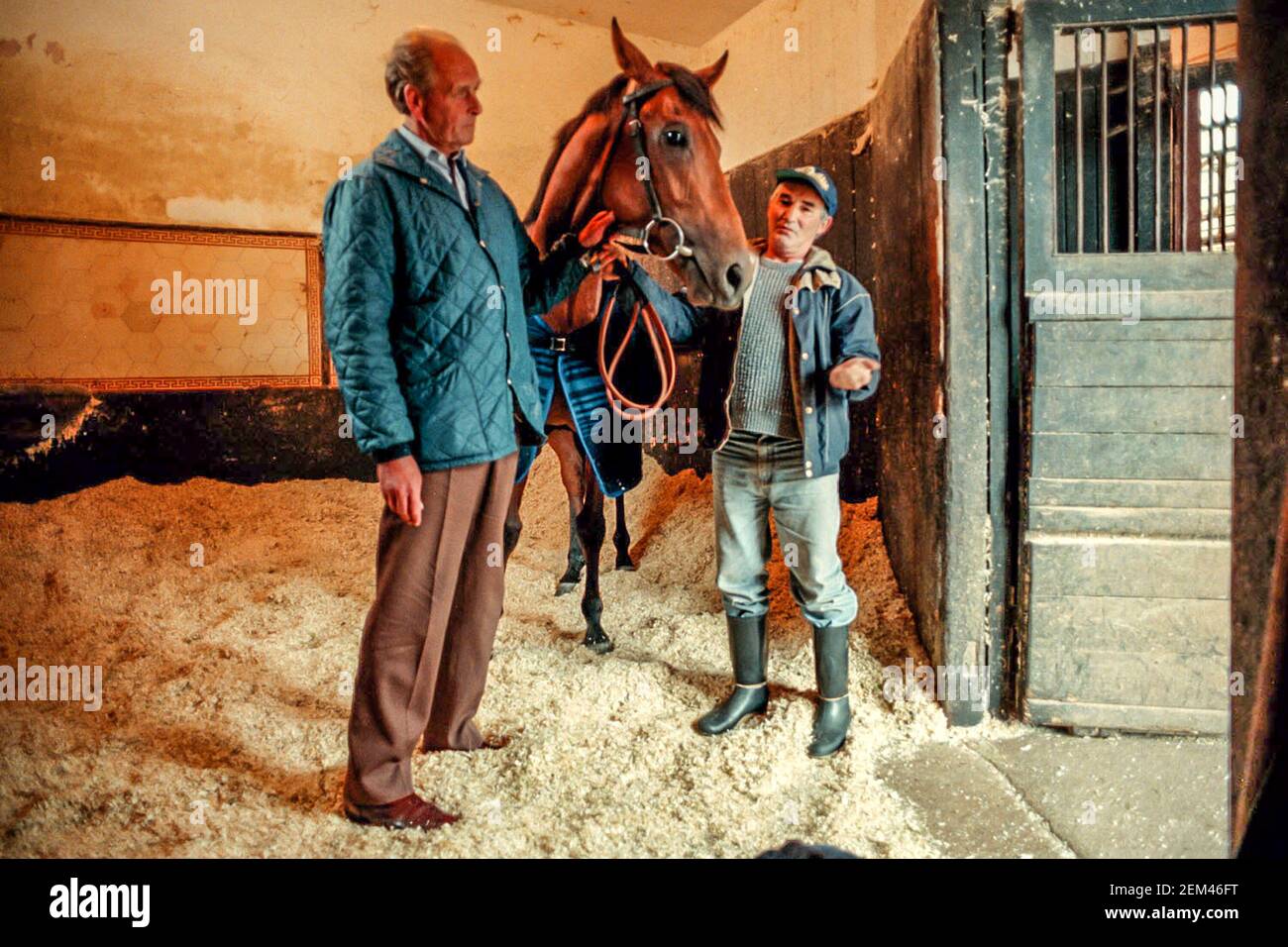 Trainer stables stable hi-res stock photography and images - Alamy