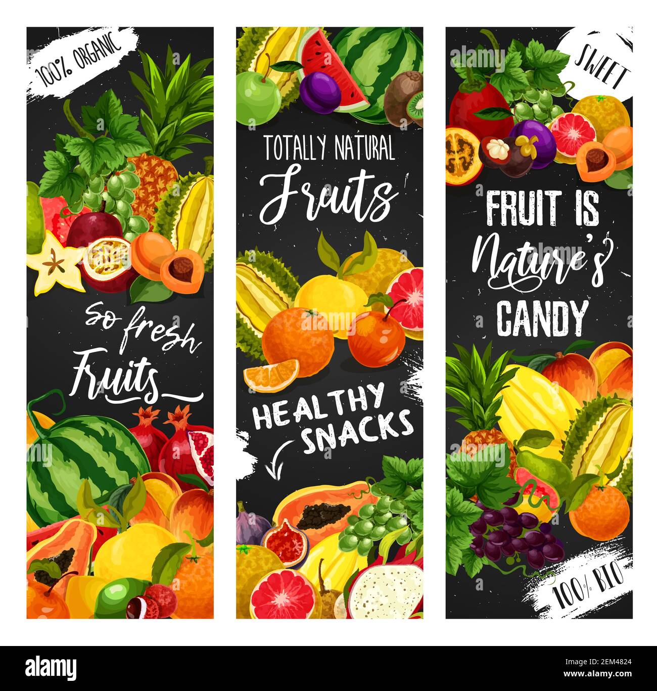 Exotic fruit blackboard banners of tropical and garden berries vector ...