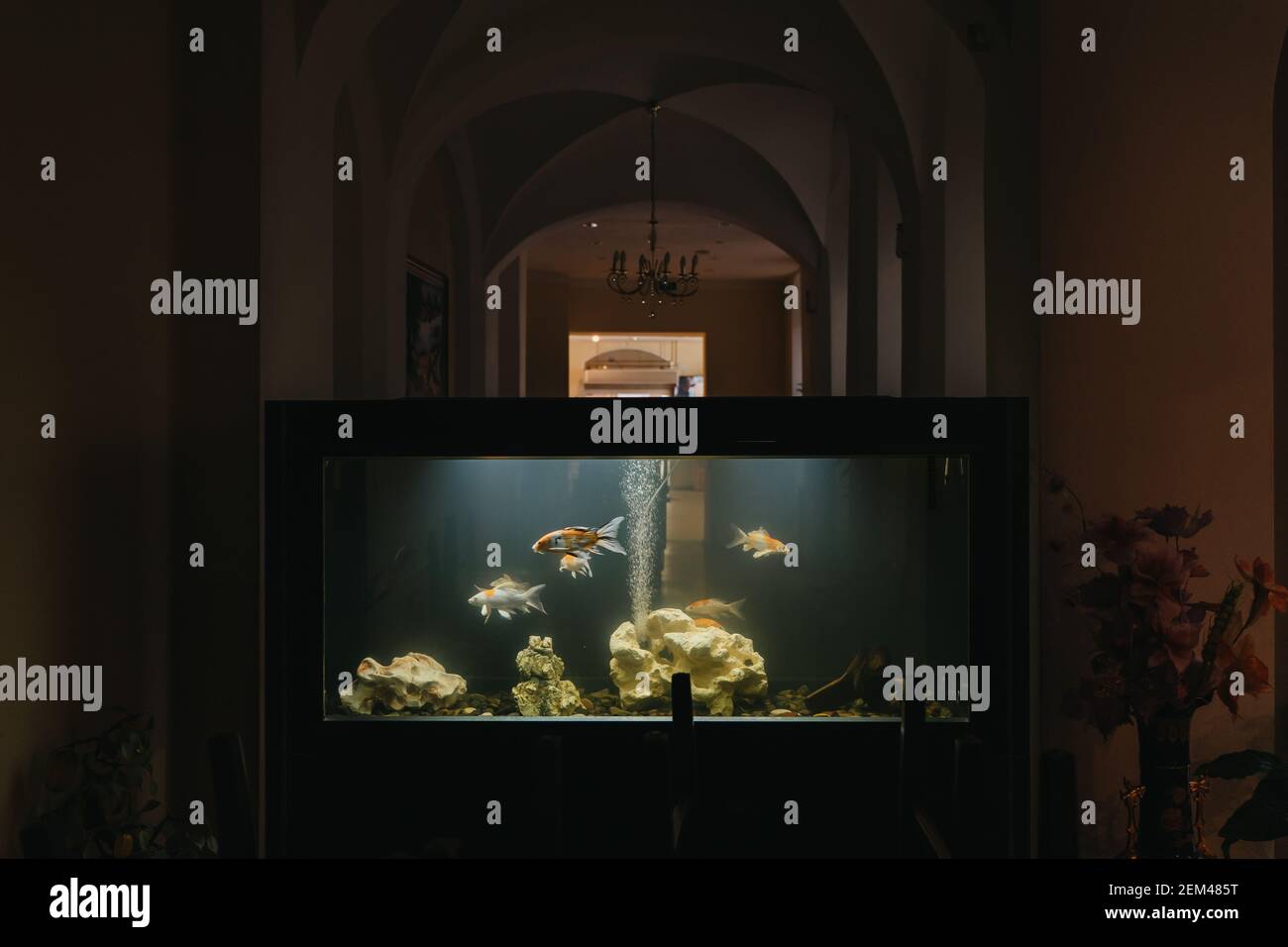 Empty fish tank hi-res stock photography and images - Alamy