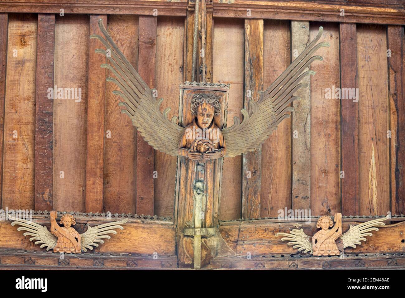 One on the 15th century carved angels in the roof of the 13th century ...