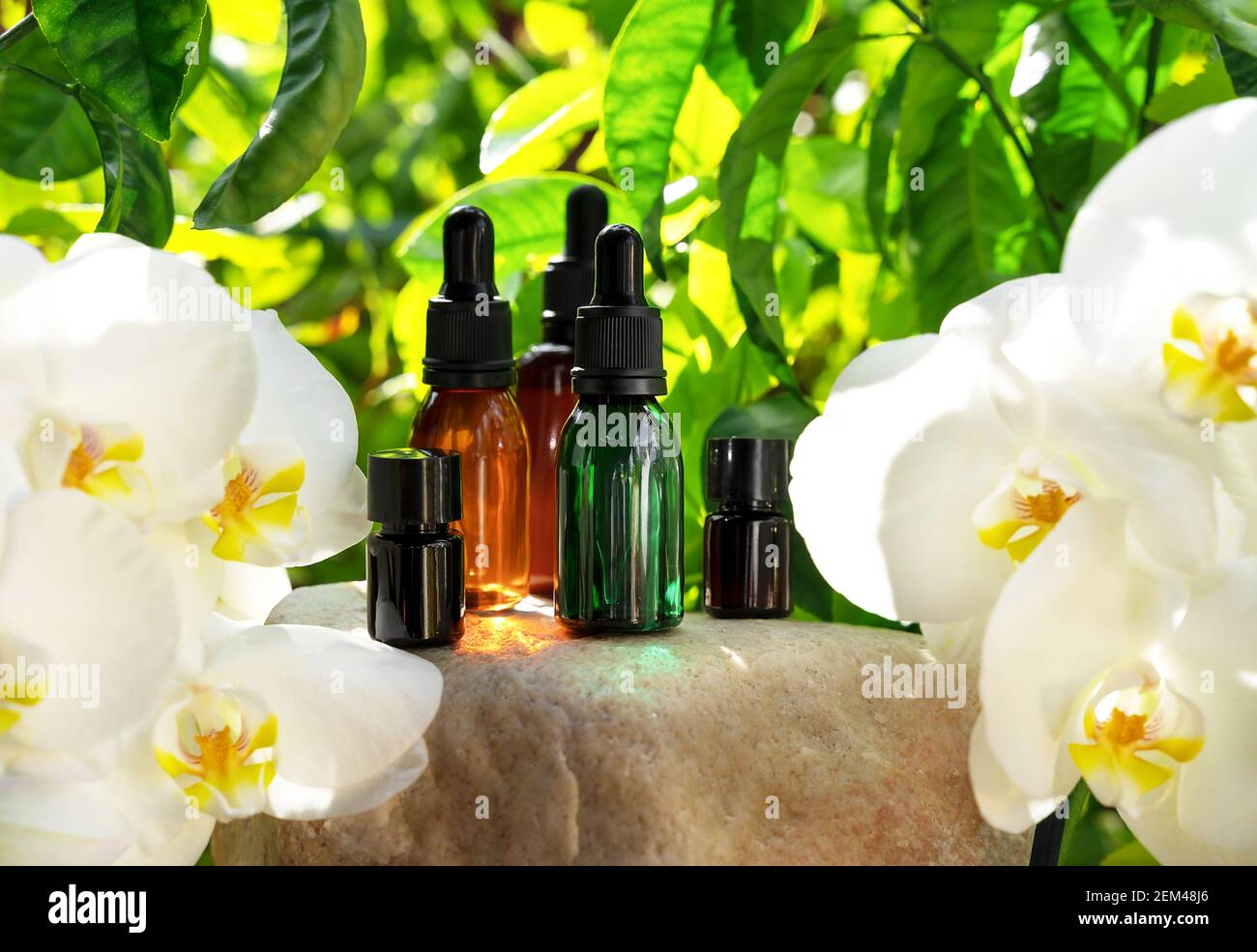 Cosmetic display on green leaves and natural stone backdrop. Natural ...