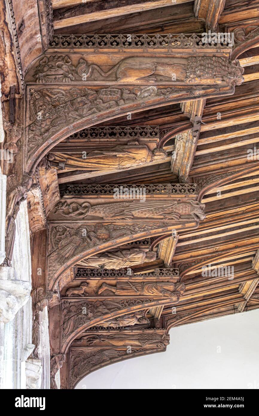 The !5th century carved hammerbeam roof of the 13th century church of ...