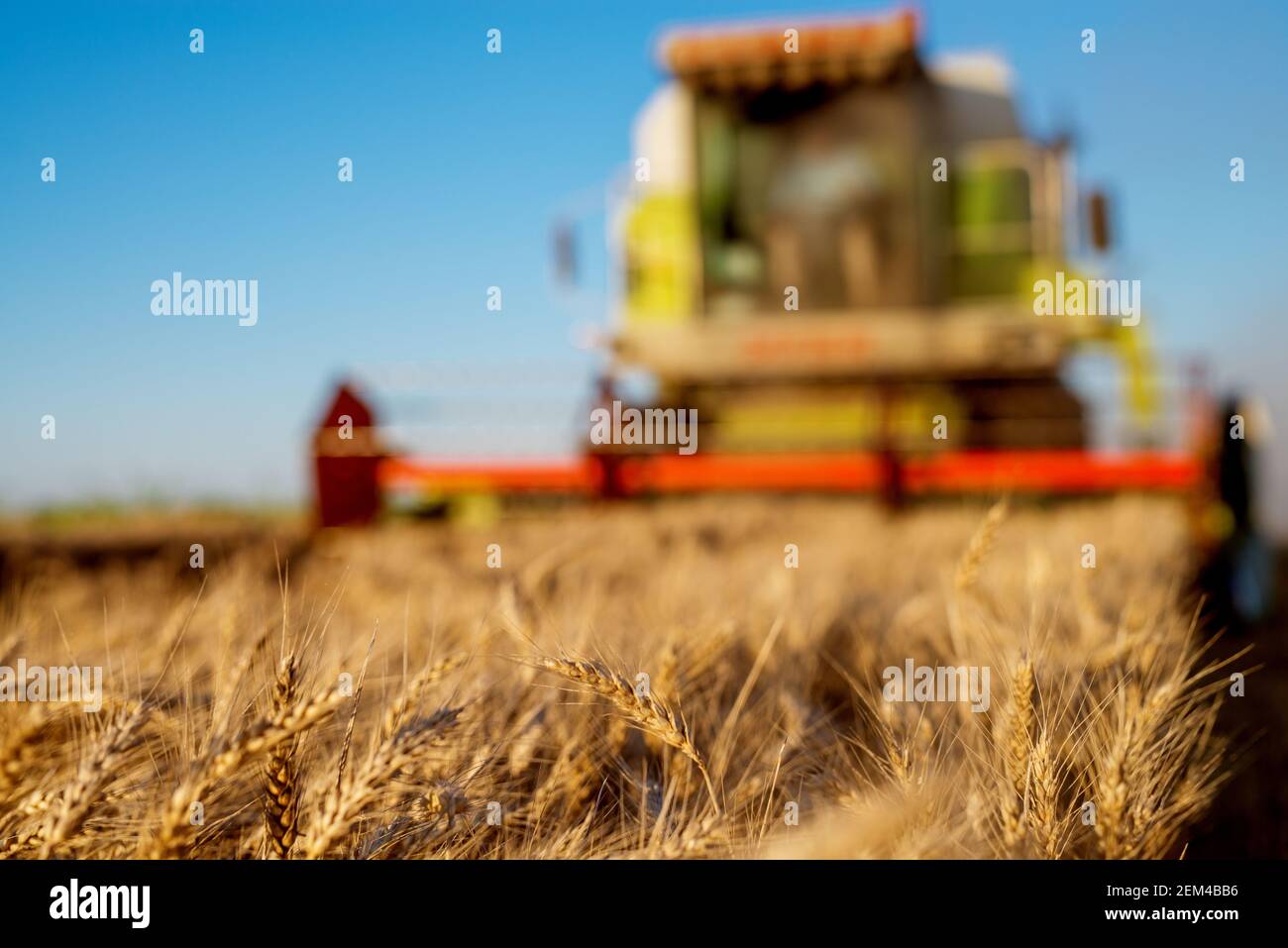Harvesting machine working at field in sunny morning. Agriculture ...