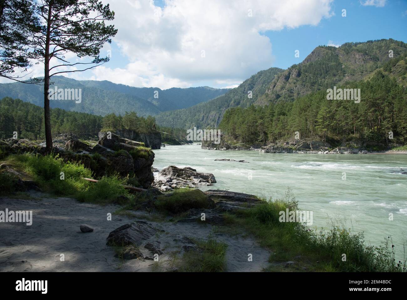 Wildlife altai beautiful blue hi-res stock photography and images - Alamy