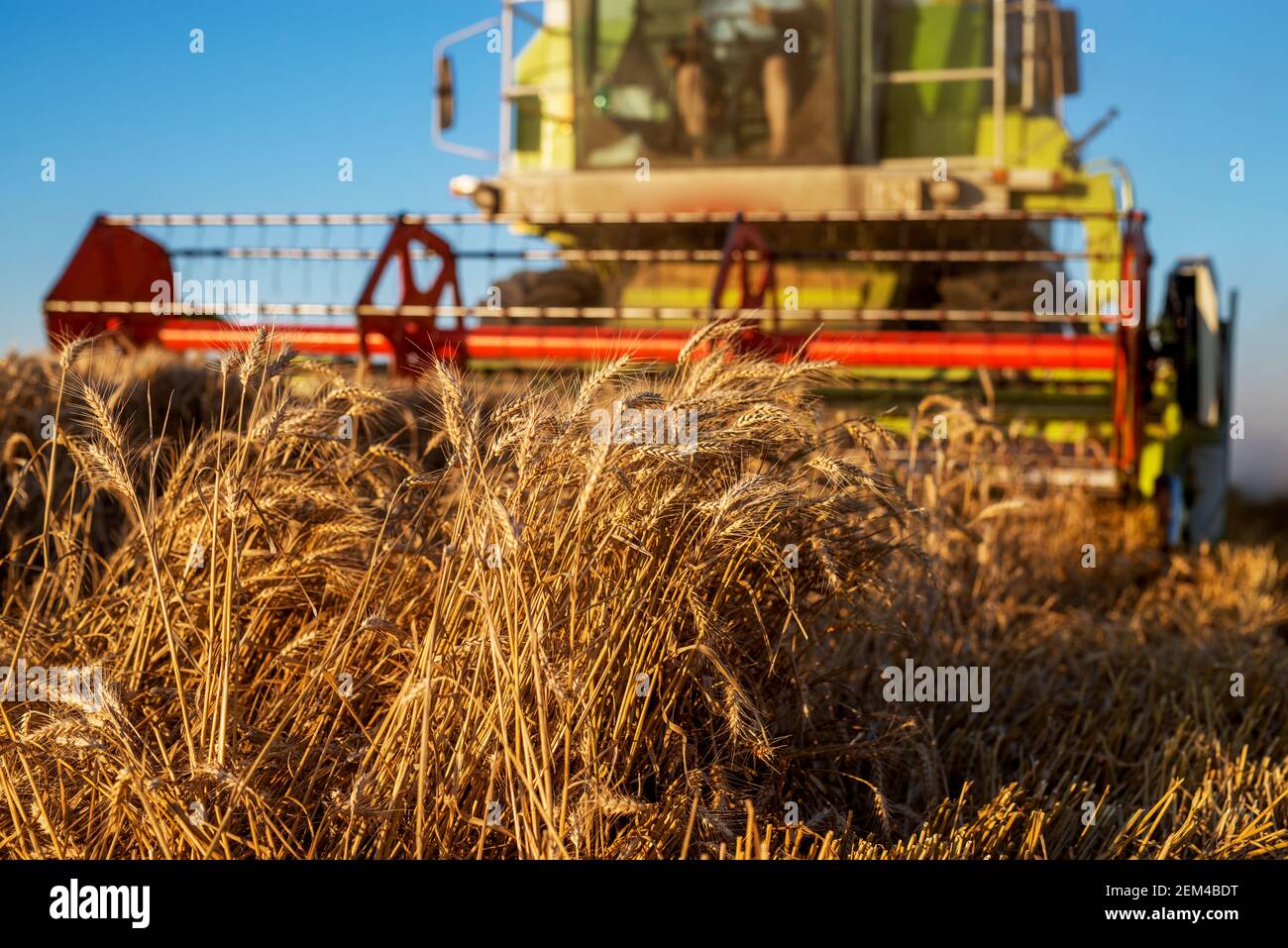 Harvesting machine working at field in sunny morning. Agriculture ...