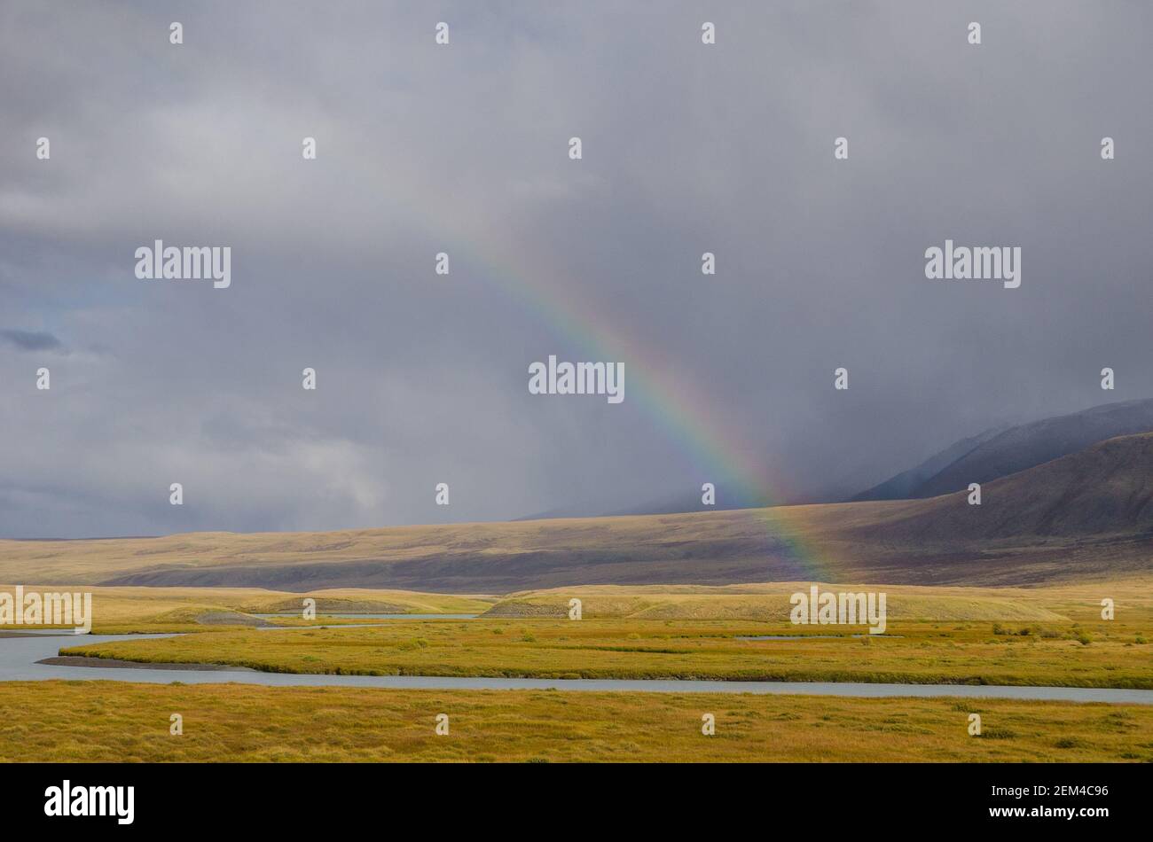 Wildlife Altai. A beautiful rainbow after the rain Stock Photo - Alamy