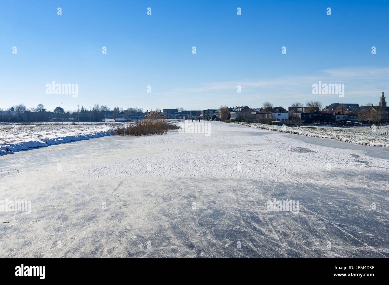 frozen and snowy Dutch landscape with clear blue sky. frozen water in ...