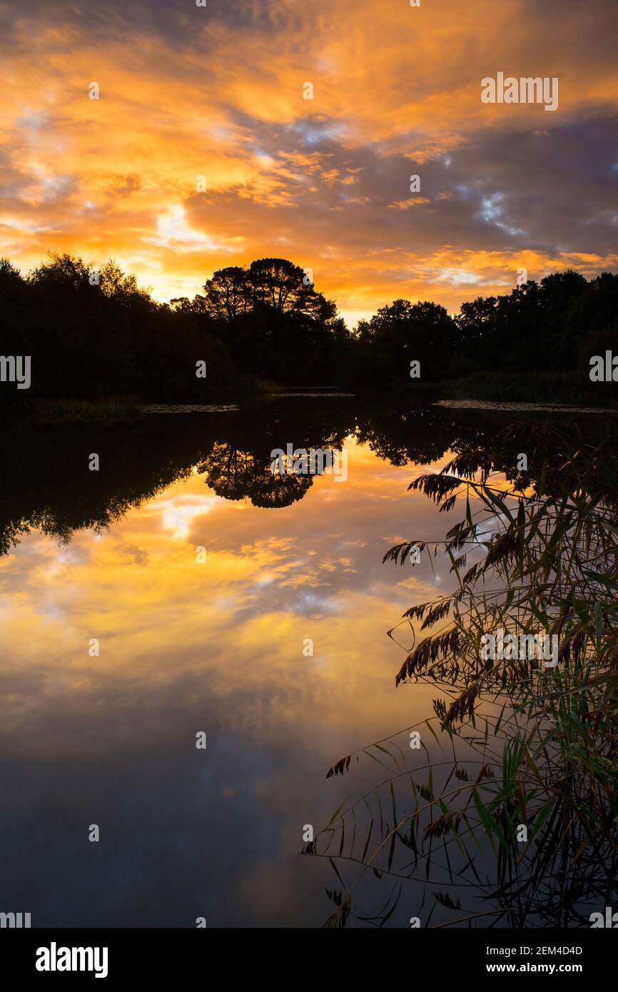 Southampton Common In Southampton High Resolution Stock Photography and ...