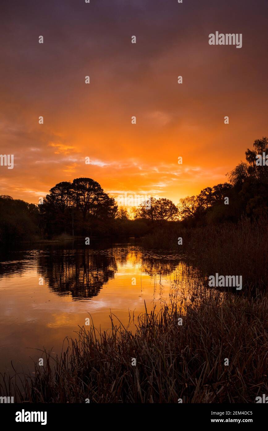 Southampton Common High Resolution Stock Photography and Images - Alamy