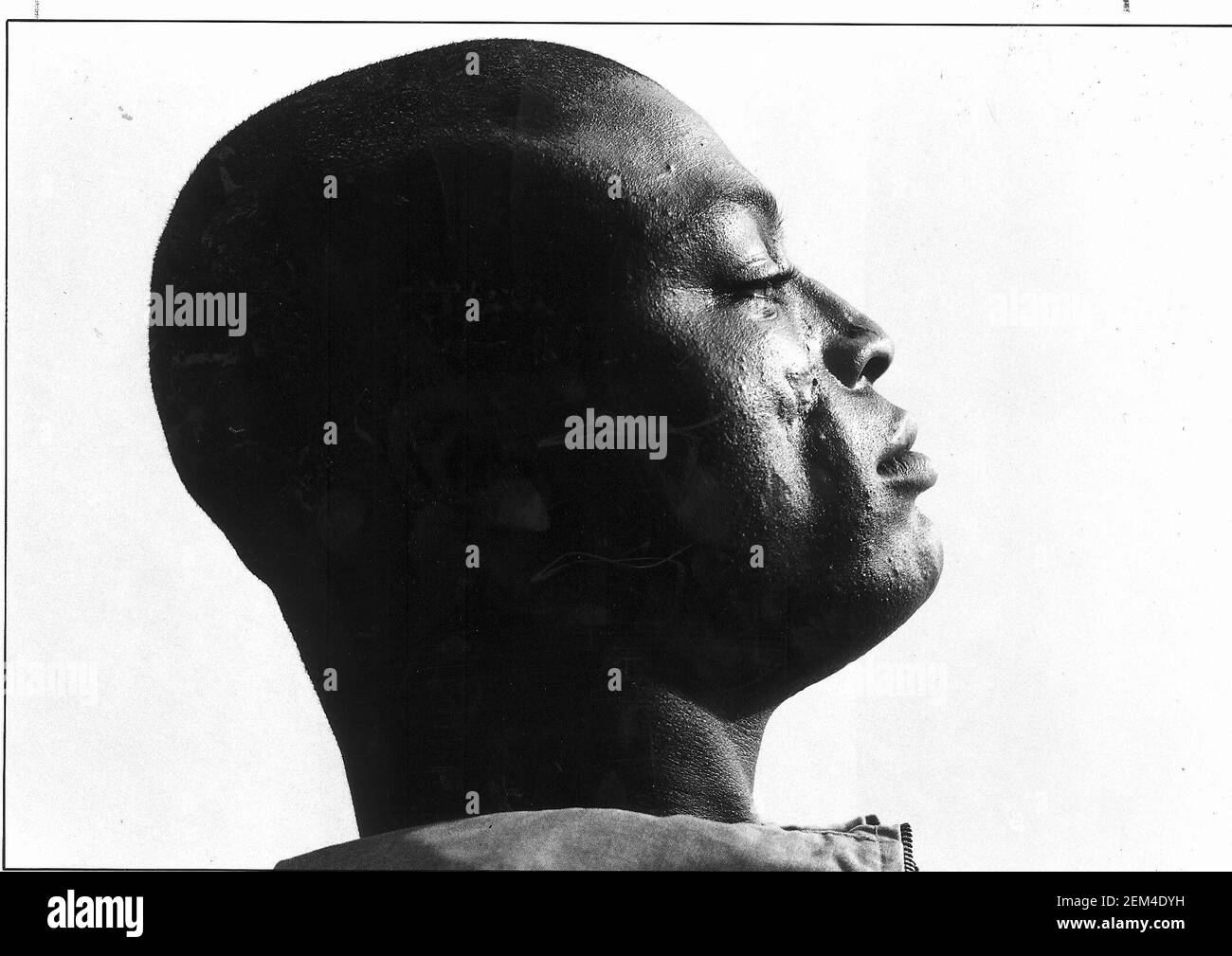 Seal singer hi-res stock photography and images - Alamy