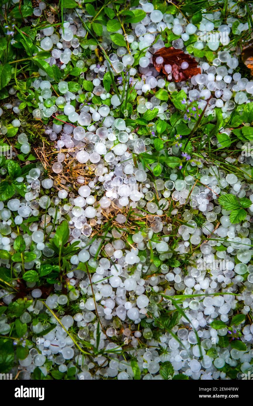 Hail in grass hi-res stock photography and images - Alamy