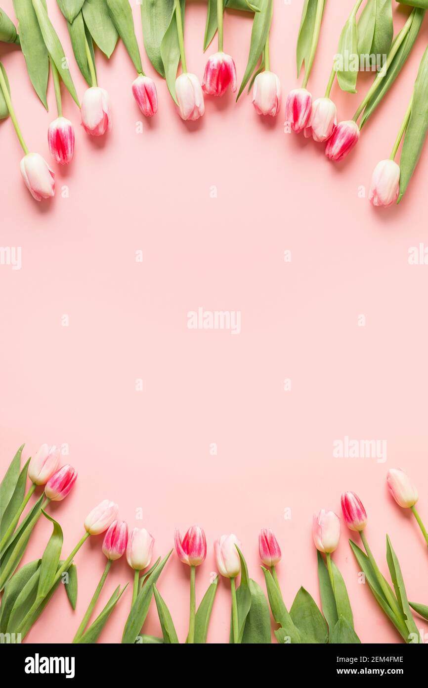 Vertical border spring flowers hi-res stock photography and images - Alamy