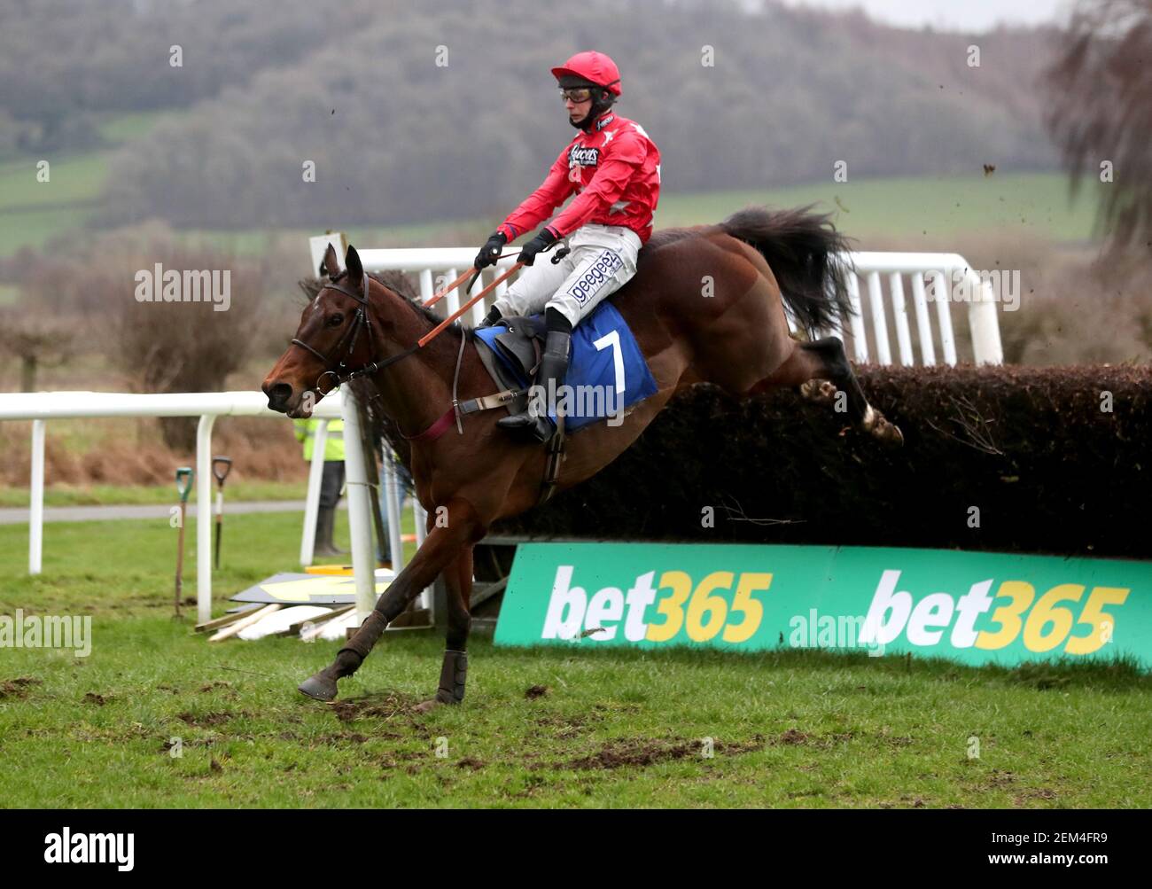 Rex Dingle High Resolution Stock Photography and Images - Alamy