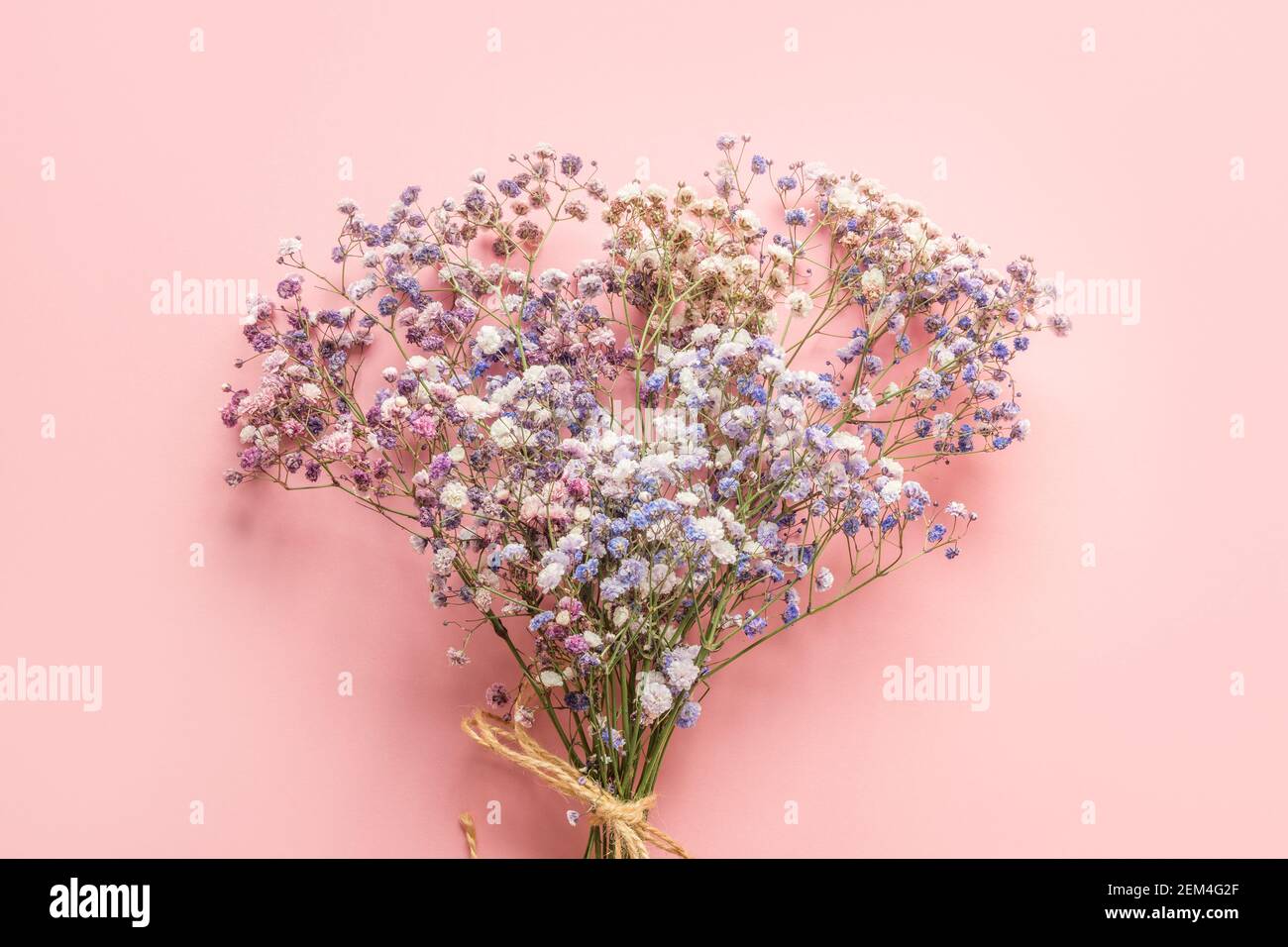 Blue gypsophila hi-res stock photography and images - Alamy