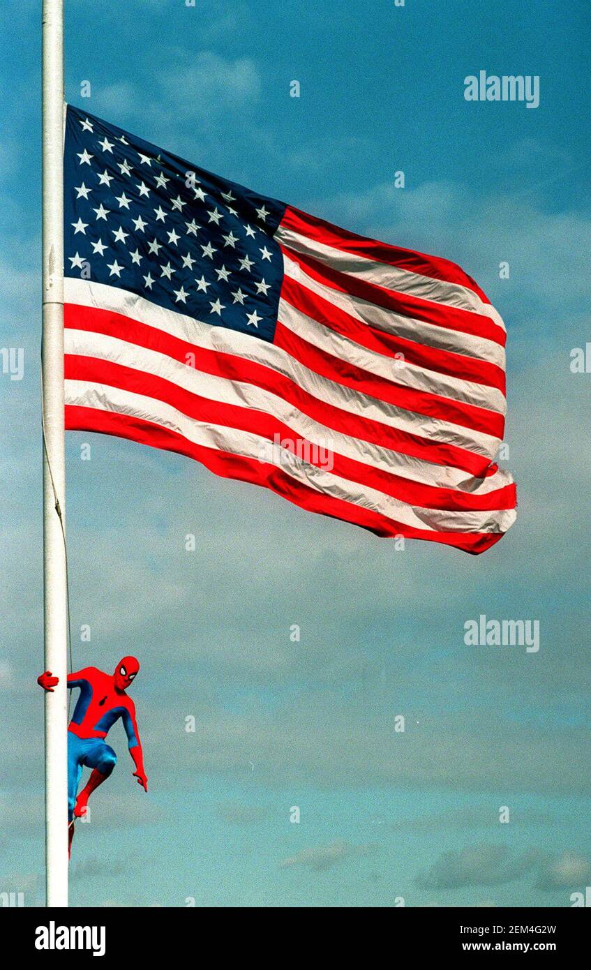 Spiderman clinging to the Stars and Stripes flag Stock Photo - Alamy