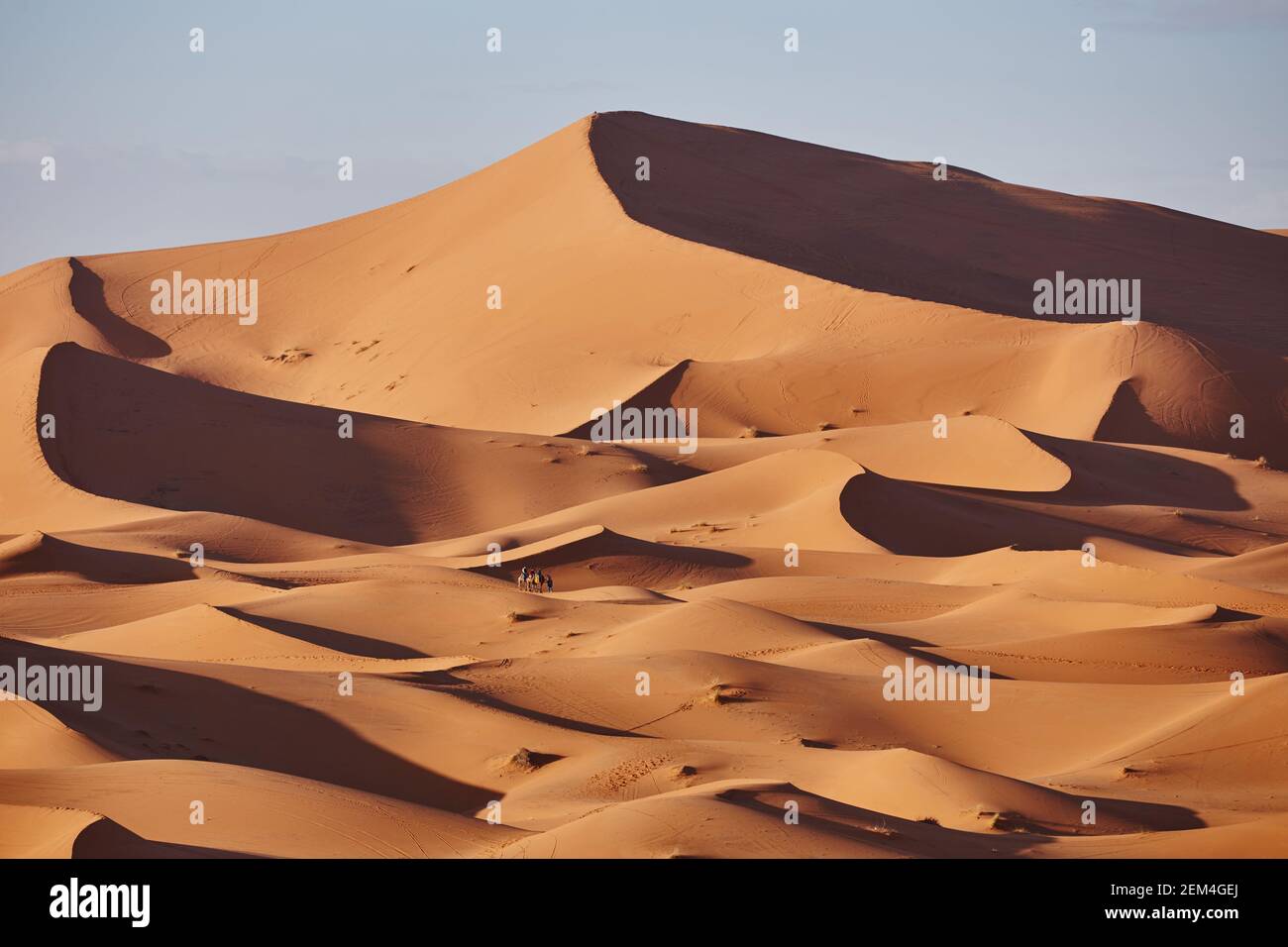 Endless Sands of the Sahara desert. Beautiful sunset over sand dunes of ...