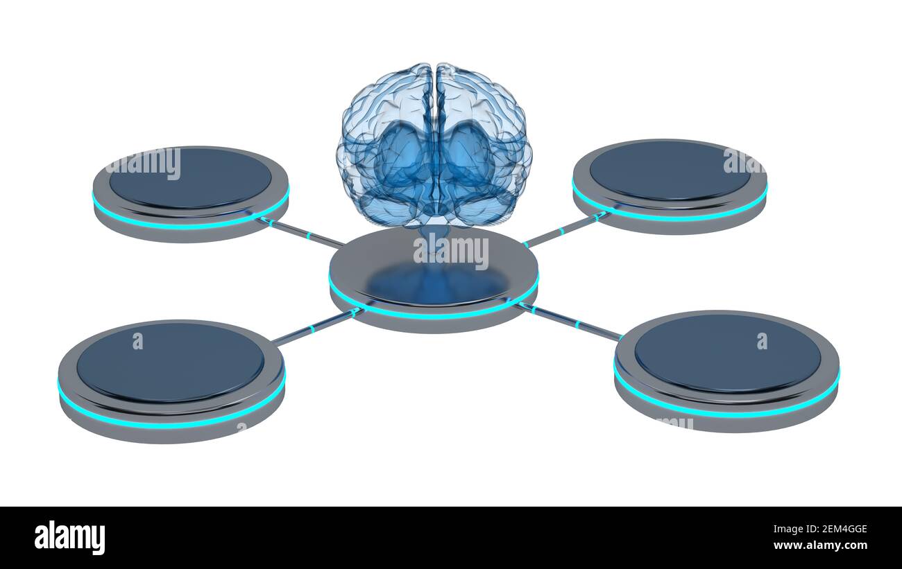 front view of the brain x-ray with four mock up pedestals around. 3d ...