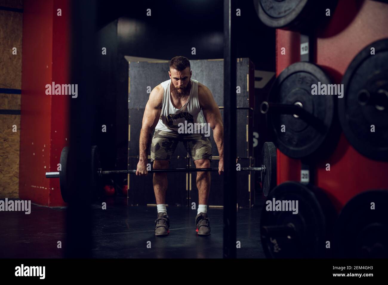Deadlift Front View Front View Of Fitness Woman Doing Barbell