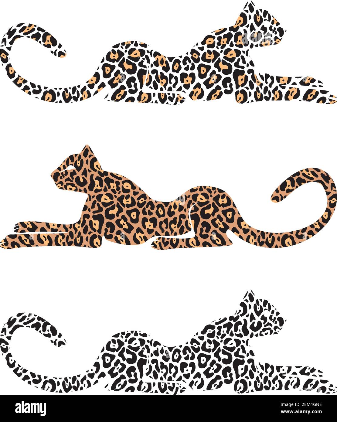 Leopards skin hi-res stock photography and images - Alamy