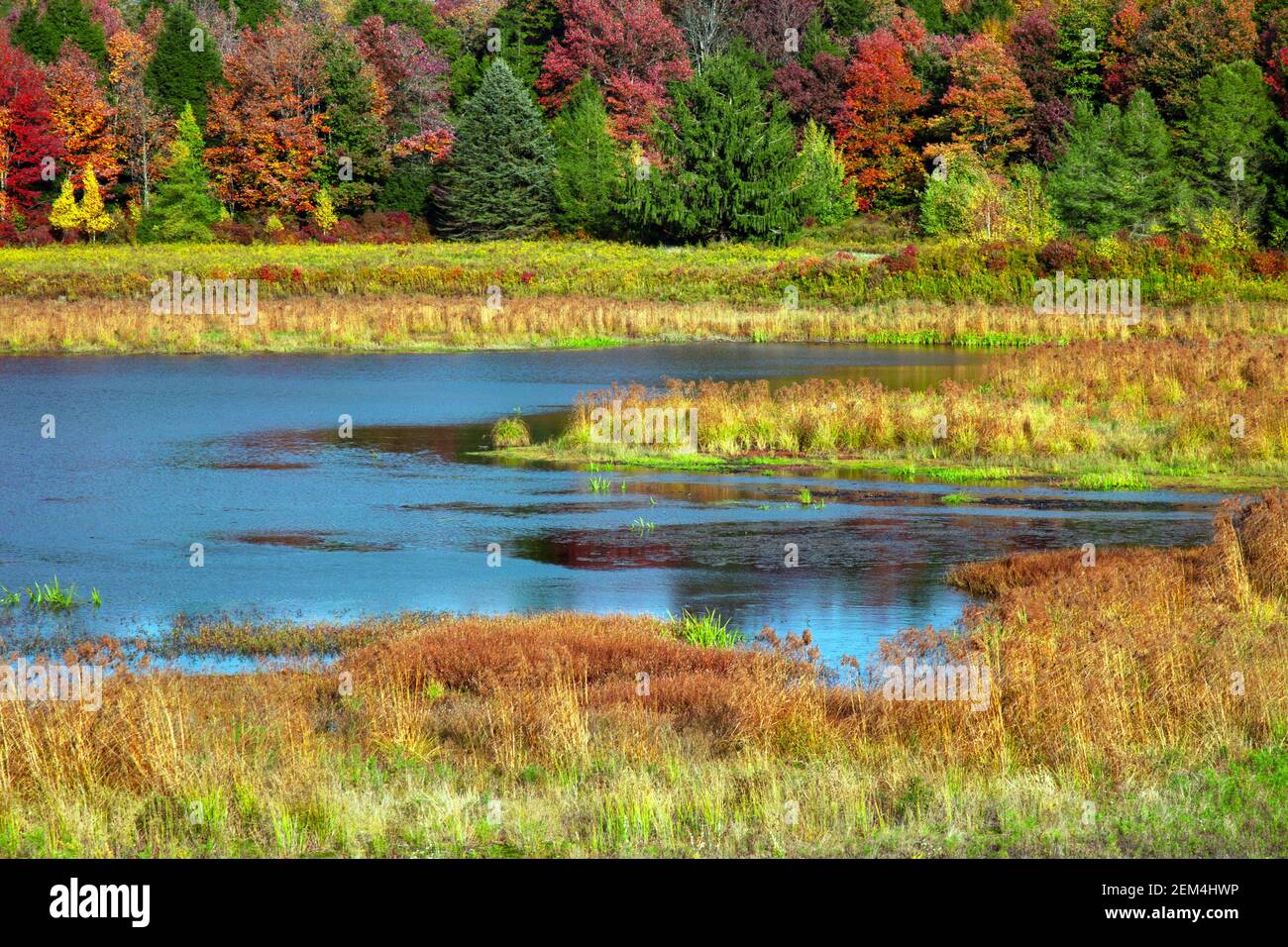 Upper Klondike Pond in Pennsylvania's Pocono Mountains was a former ...