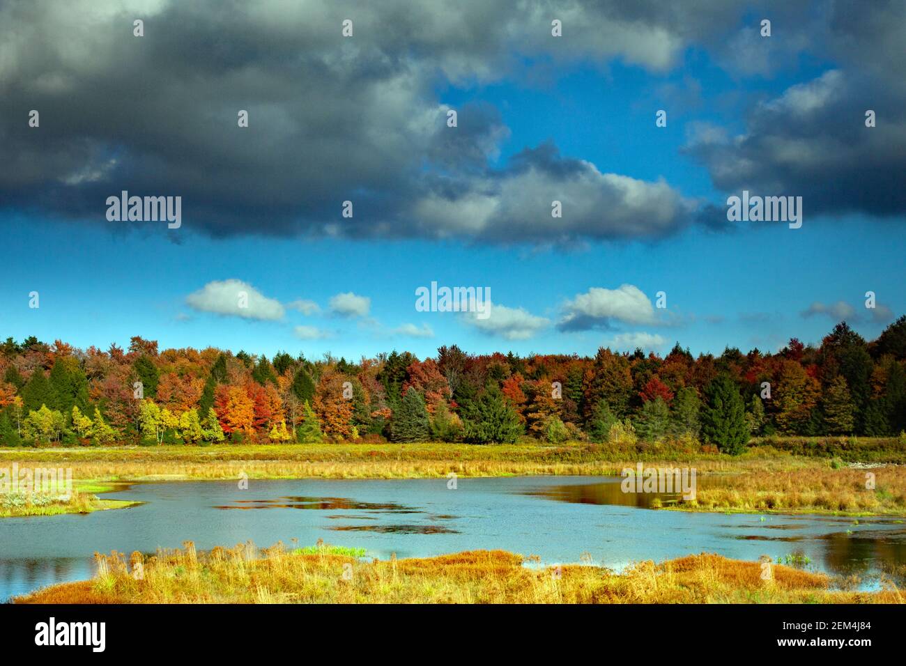 Upper Klondike Pond in Pennsylvania's Pocono Mountains was a former ...