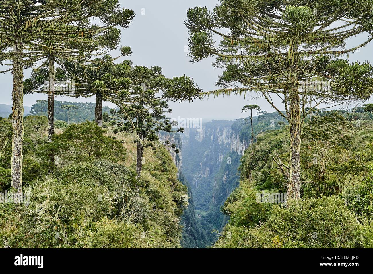 Serra geral range hi-res stock photography and images - Alamy
