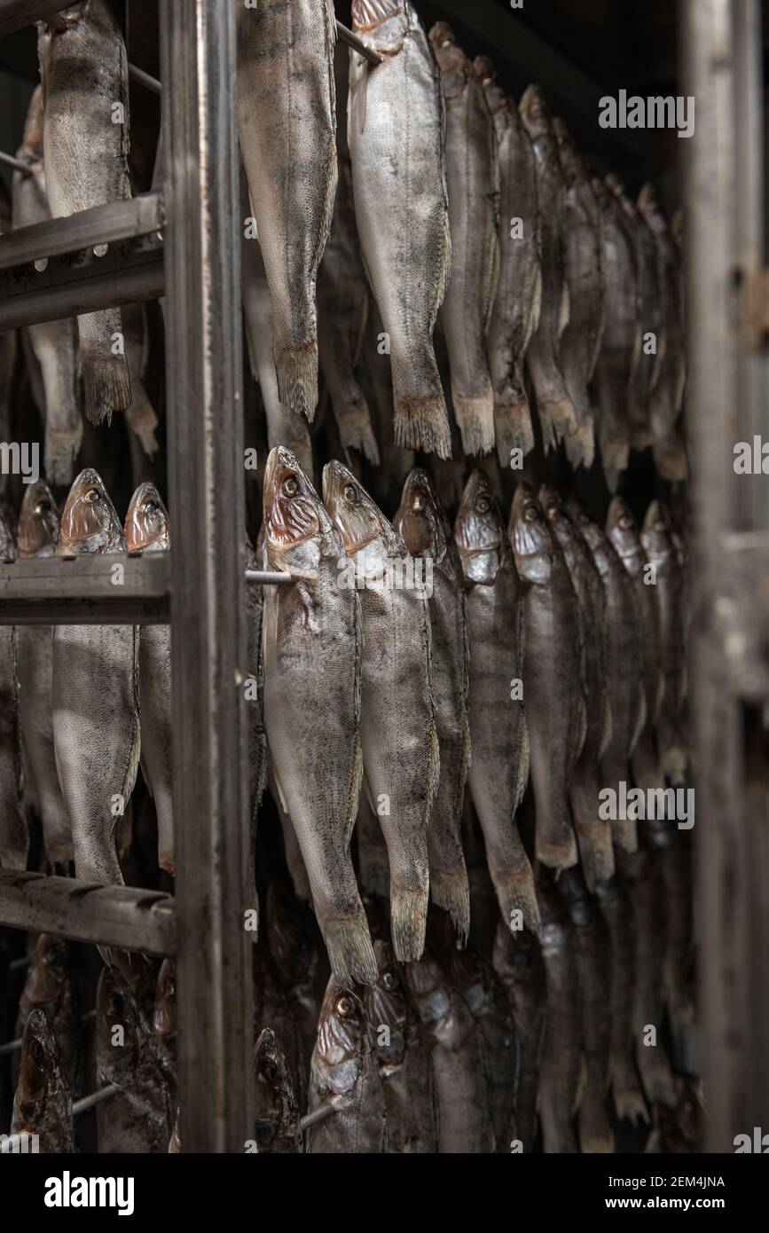 Smoked fish production hi-res stock photography and images - Alamy