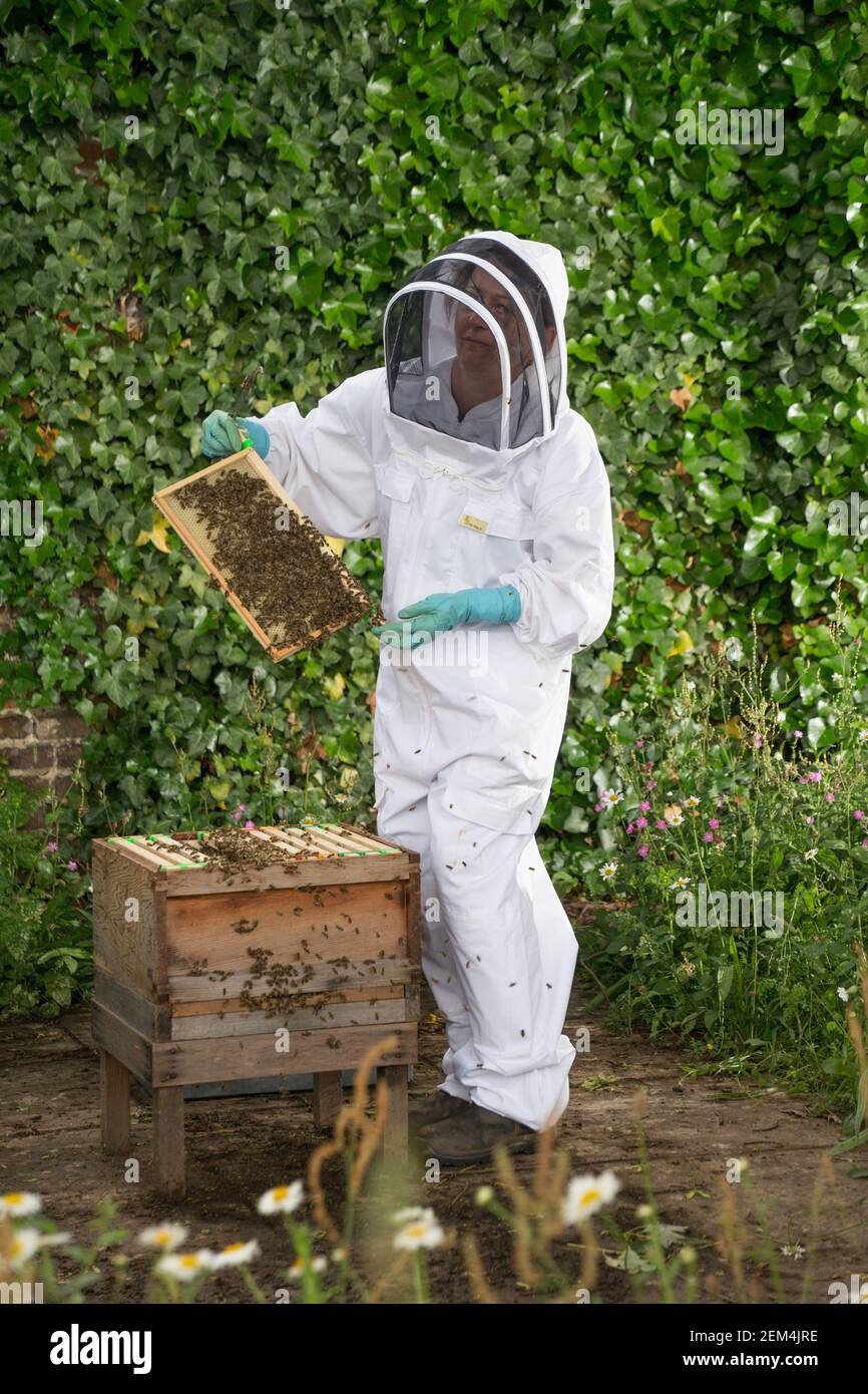 The hives portrait hi-res stock photography and images - Alamy