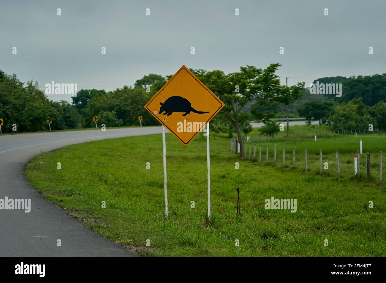 black and yellow road sign. traffic sign showing a armadillo Stock ...