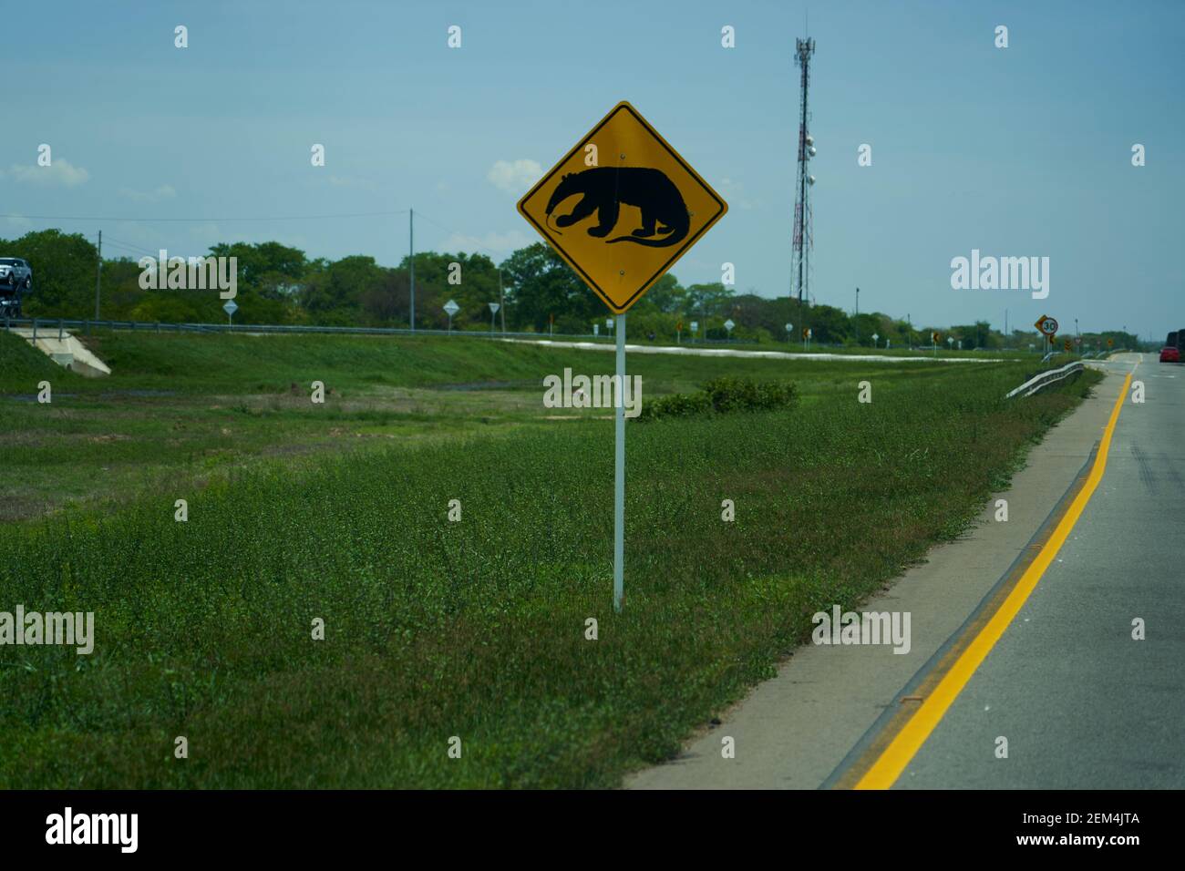 black and yellow road sign. traffic sign showing a ant eater or ant ...