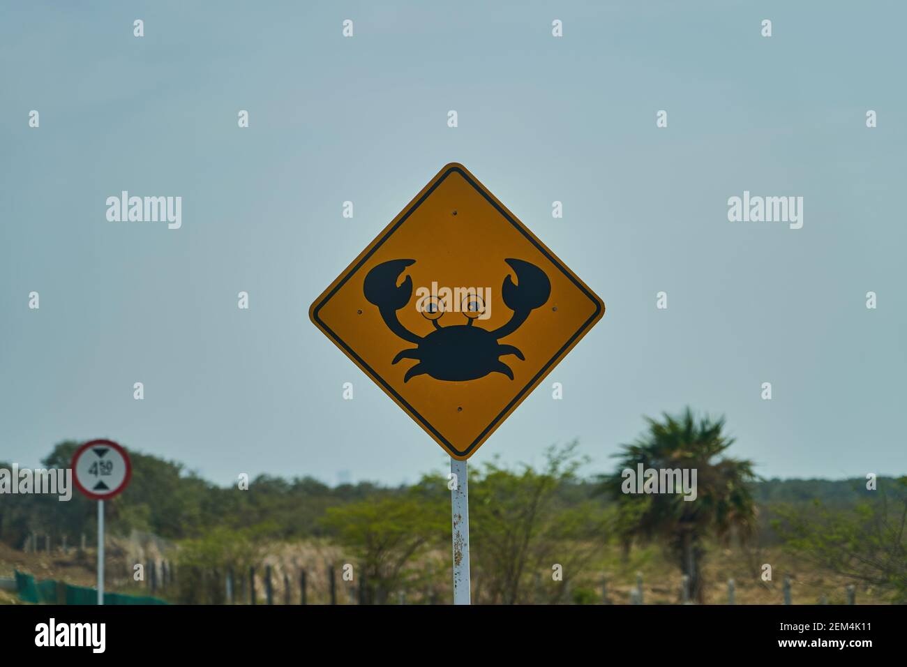 black and yellow road sign. traffic sign showing a cancer, crabb Stock ...