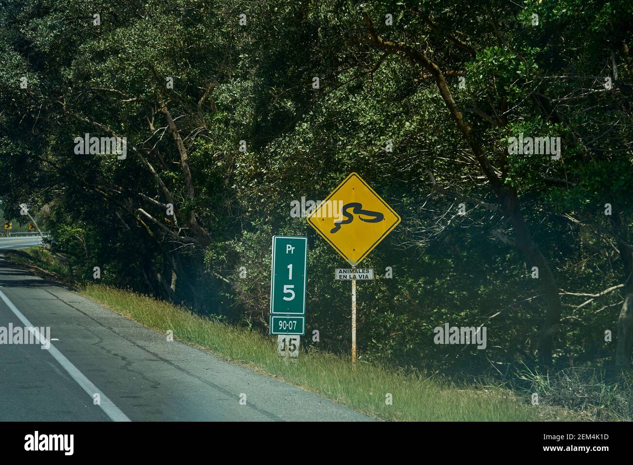 black and yellow road sign. traffic sign showing a snake Stock Photo ...