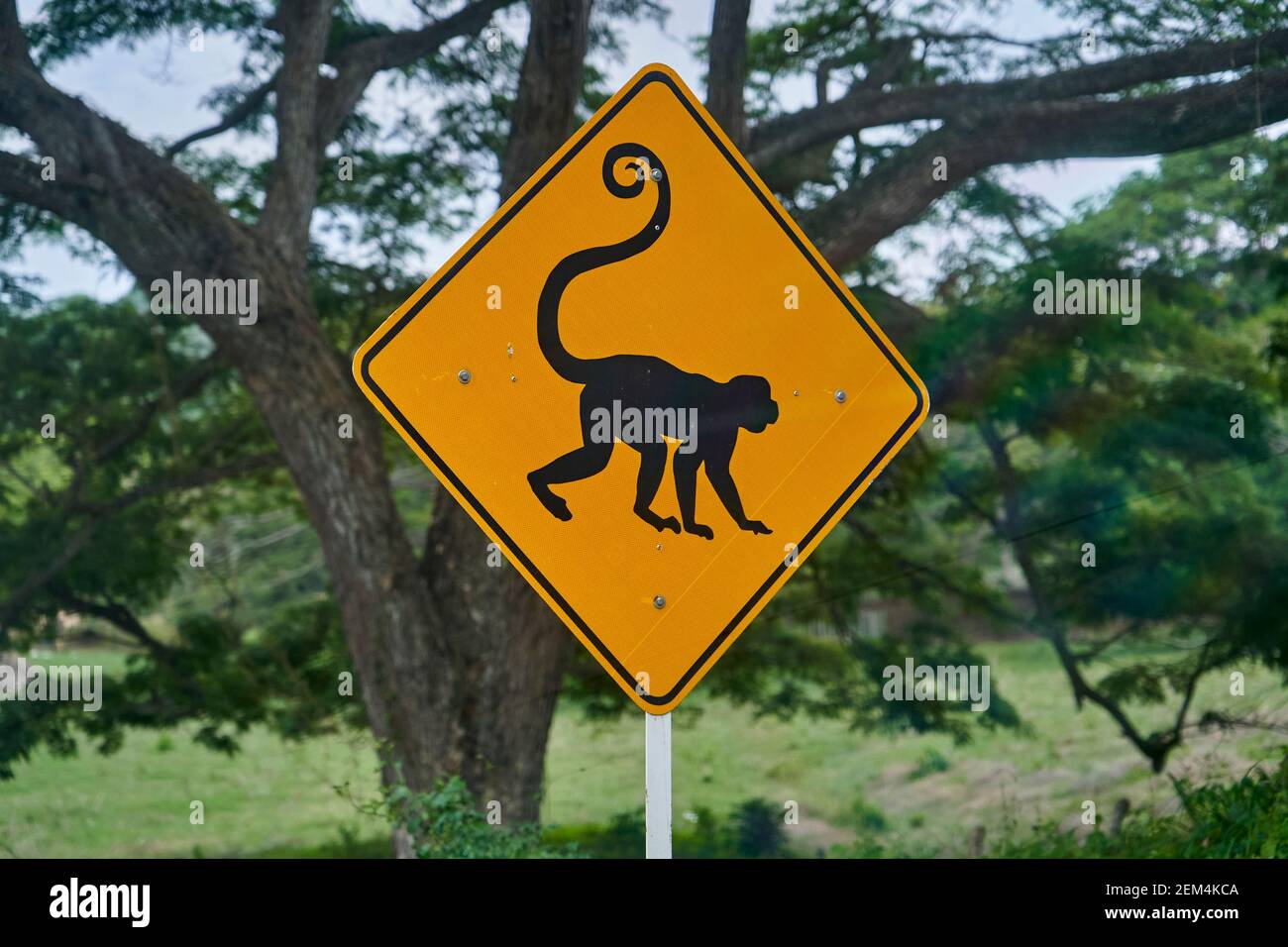 Aware traffic signs hi-res stock photography and images - Alamy