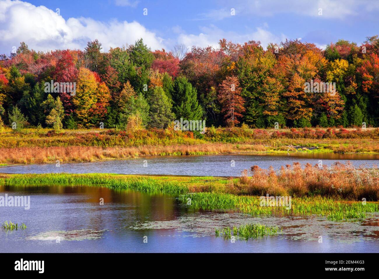 Upper Klondike Pond in Pennsylvania's Pocono Mountains was a former ...